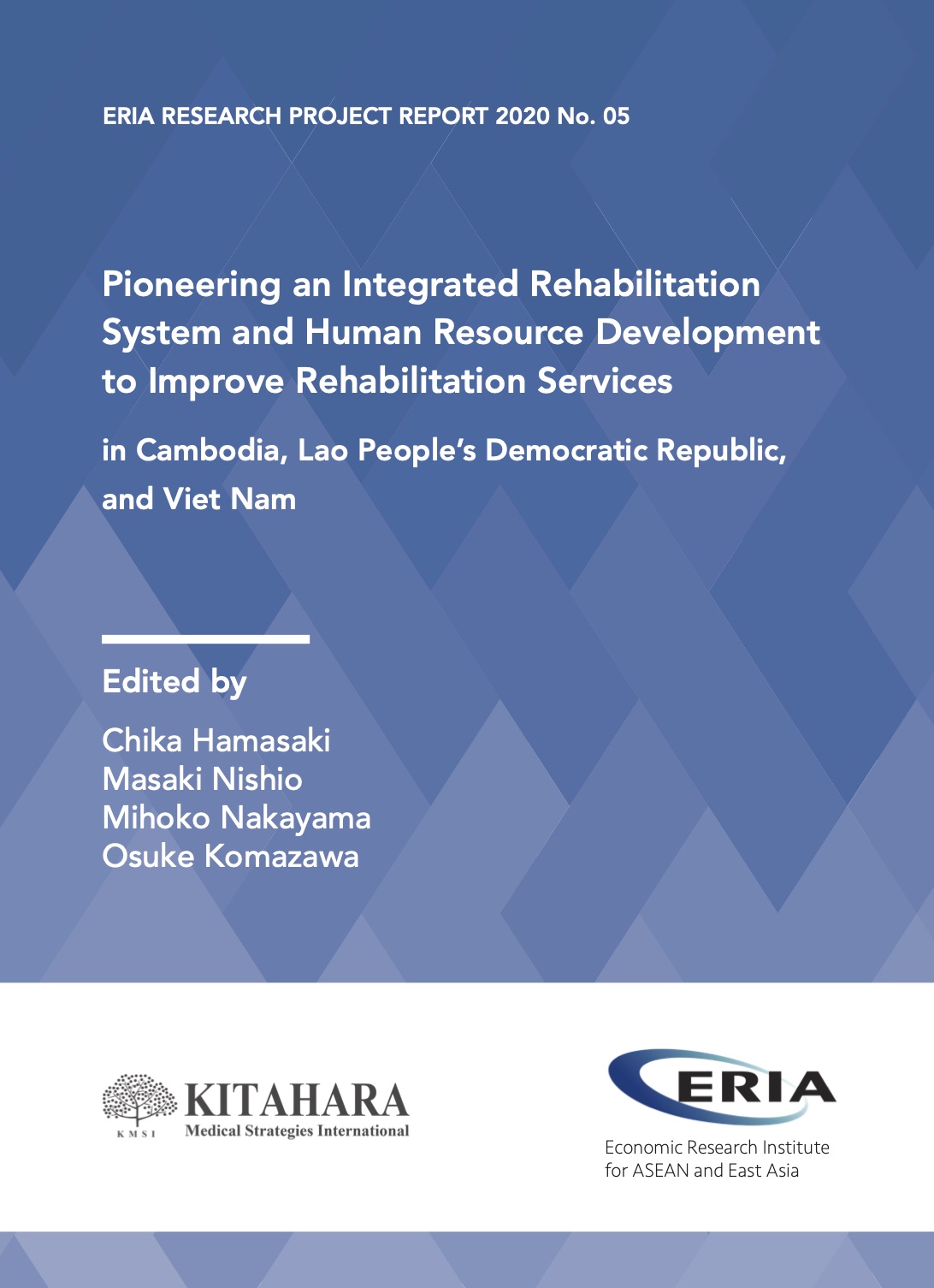Pioneering an Integrated Rehabilitation System and Human Resource ...